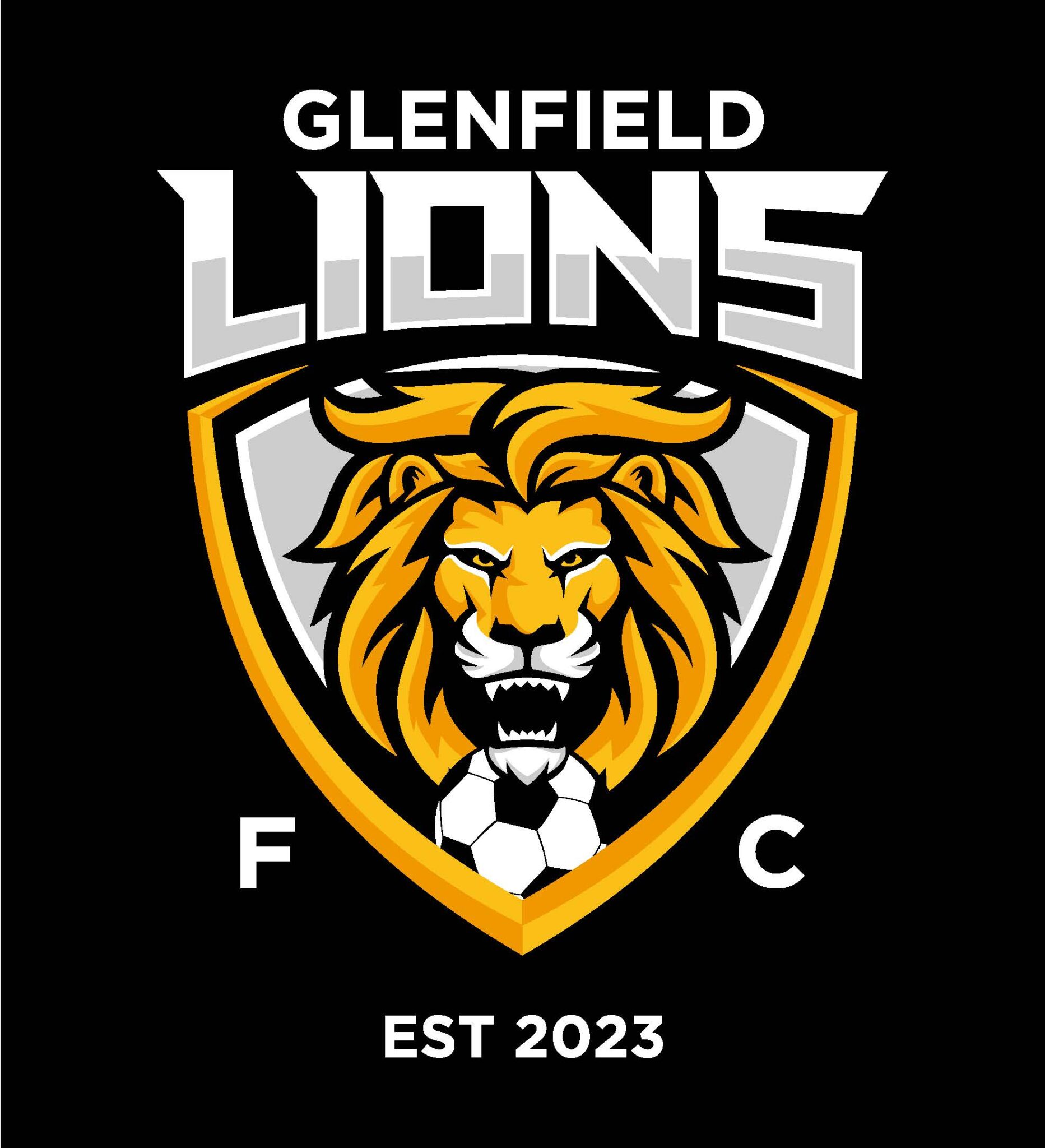 2025 MSAP - Macarthur Football Association