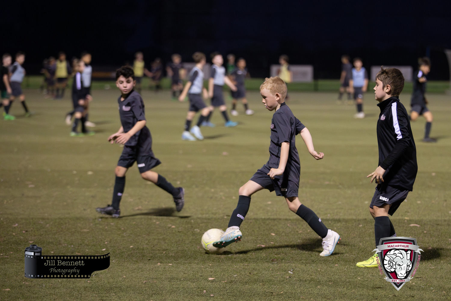 Talent Development Program (TDP) - Macarthur Football Association