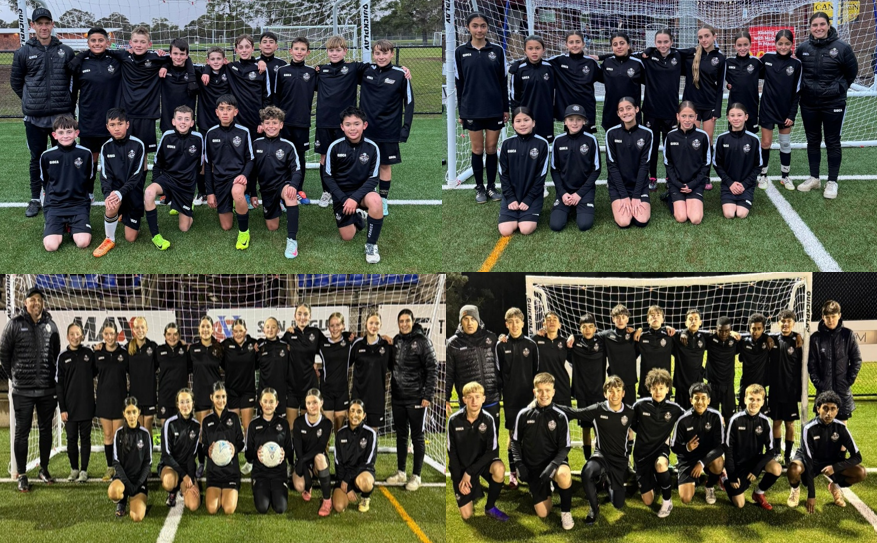 Talent Development Program (TDP) - Macarthur Football Association